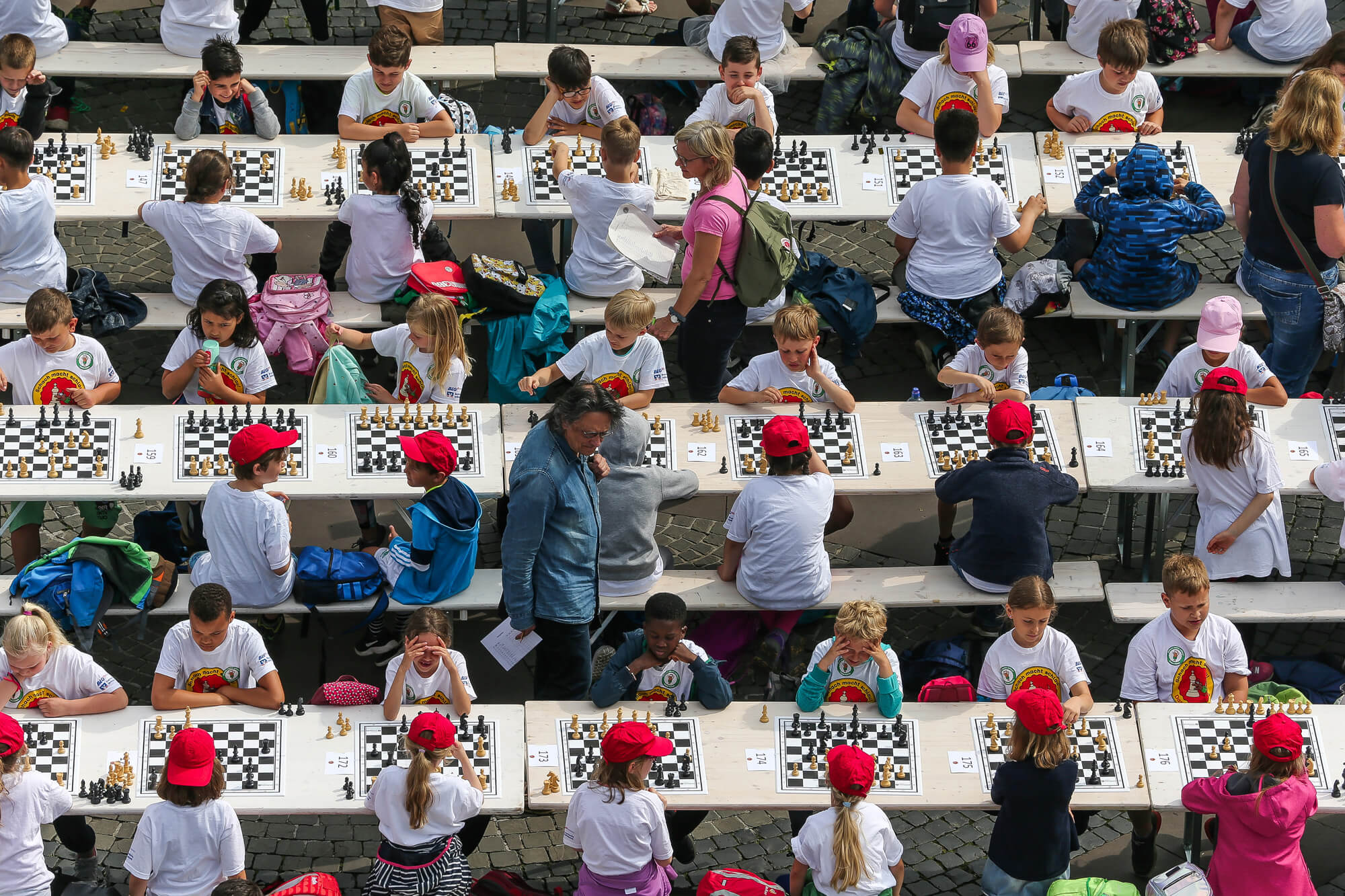 Schach macht schlau: Pressespiegel - Das erste Buch